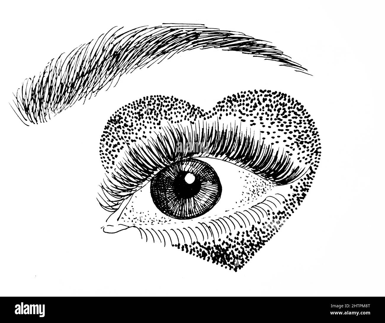 Handdrawn portrait illustration of woman eye with long lashes and ...