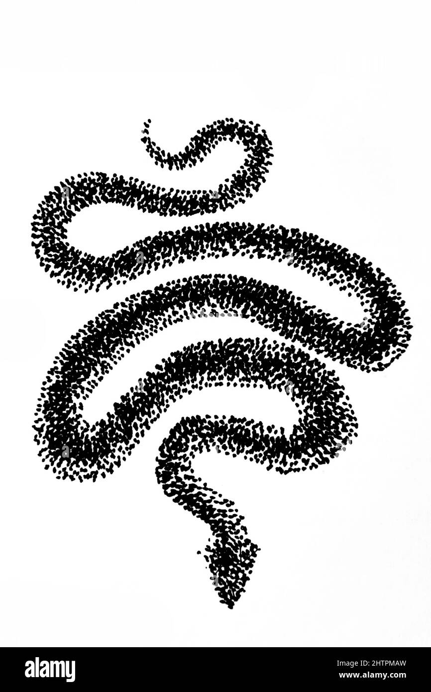 Handdrawn dotted illustration of snake, black ink pen Stock Photo - Alamy