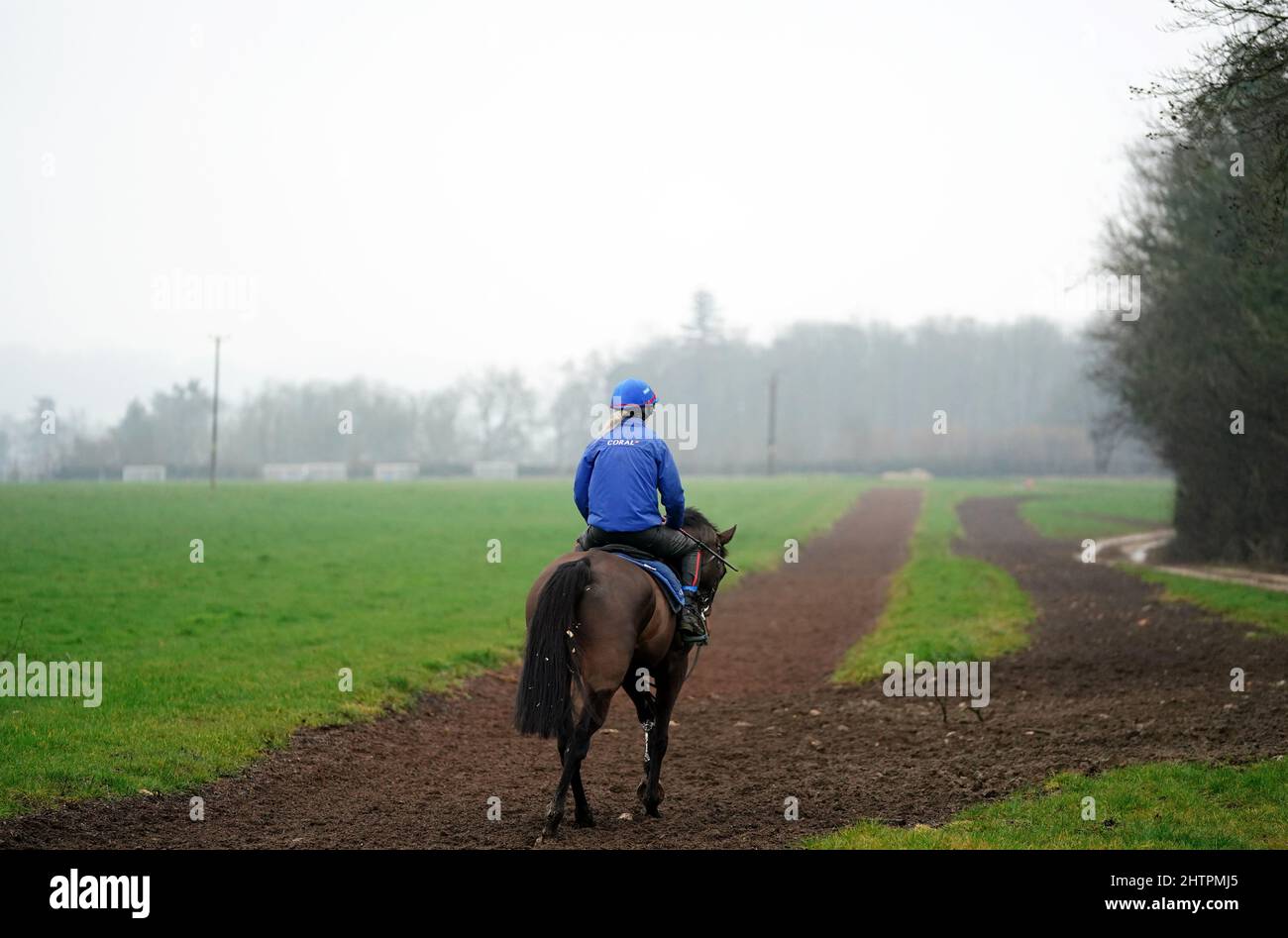 A horse makes its way to the gallops during a visit to Colin Tizzard ...