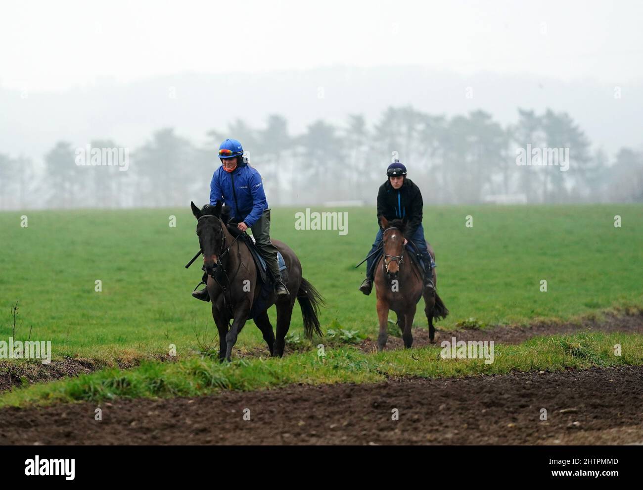 Horses make their way to the gallops during a visit to Colin Tizzard ...