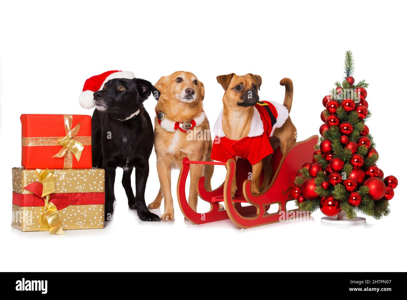 Christmas tree gifts small Cut Out Stock Images & Pictures - Alamy