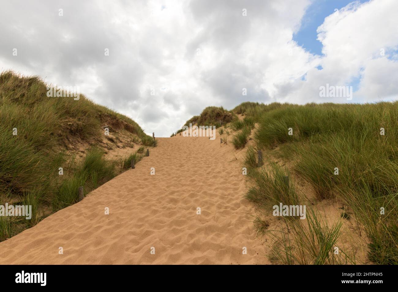 View of sandy path surrounded by green grasses under cloudy sky Stock ...