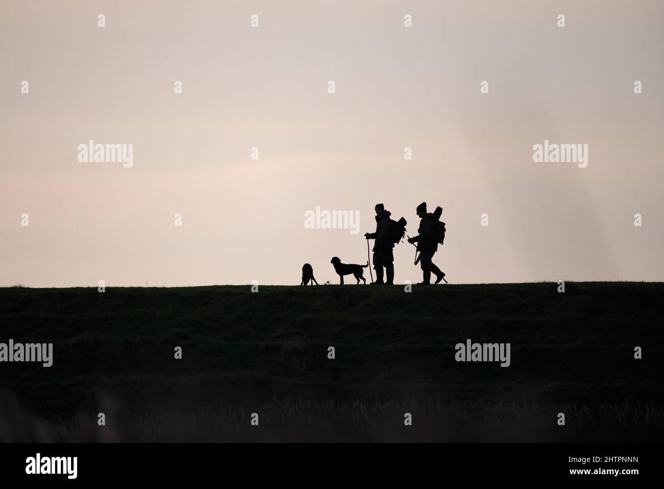 Wildfowlers with their dogs walking on the Sea Wall at Frampton Marsh ...