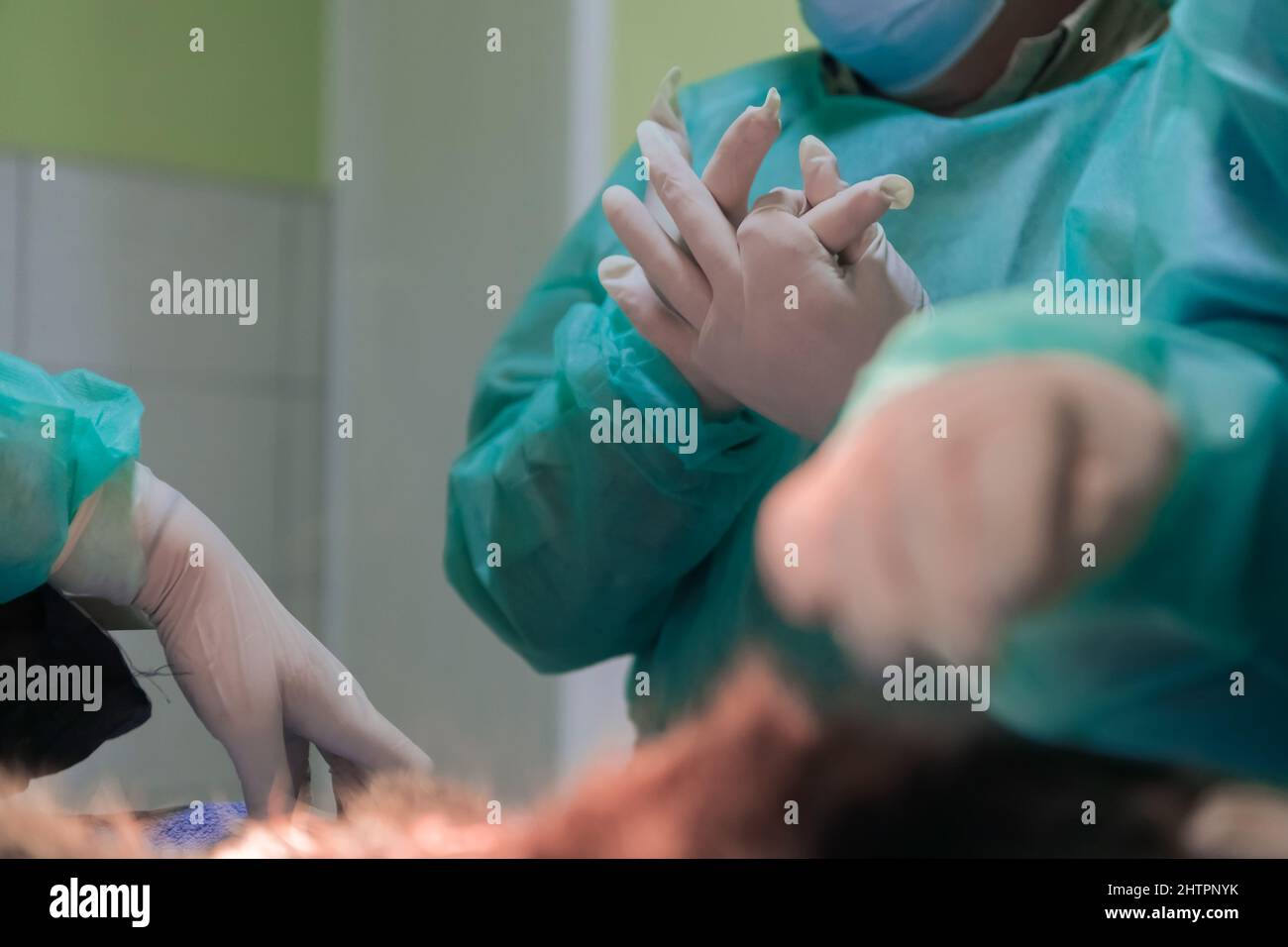 Real abdominal surgery on a cat in a hospital setting Stock Photo - Alamy