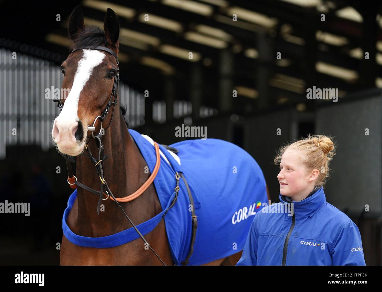 Horse Oscar Elite during a visit to Colin Tizzard and Joe Tizzard's ...