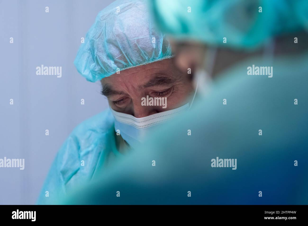 Real abdominal surgery on a cat in a hospital setting Stock Photo - Alamy