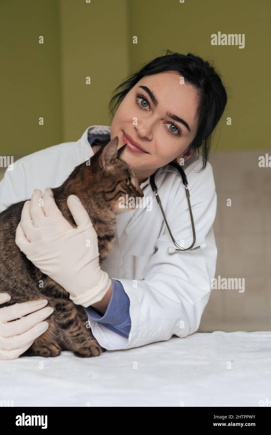 Veterinary clinic. Female doctor portrait at the animal hospital ...