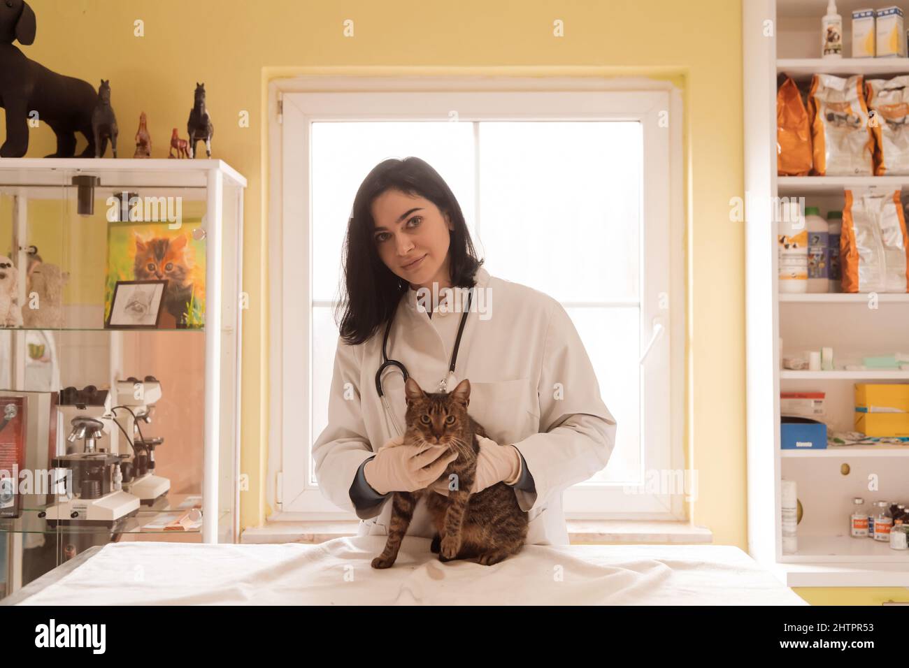 Veterinary clinic. Female doctor portrait at the animal hospital ...