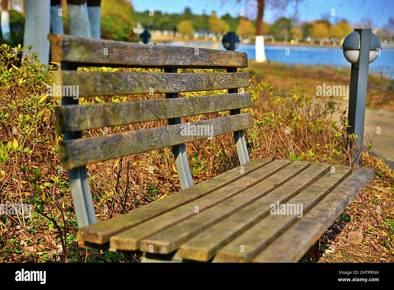 Coastal park bench in the sun Stock Photo - Alamy