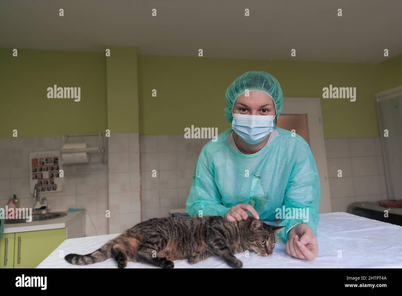 A female doctor at the animal hospital in the surgery room cute sick ...