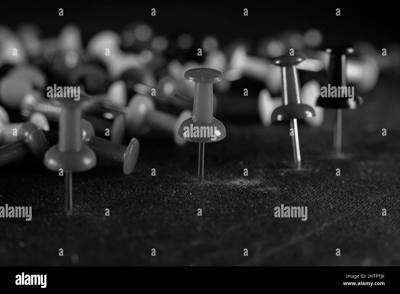 A grayscale shot of thumbtacks or board pins Stock Photo - Alamy