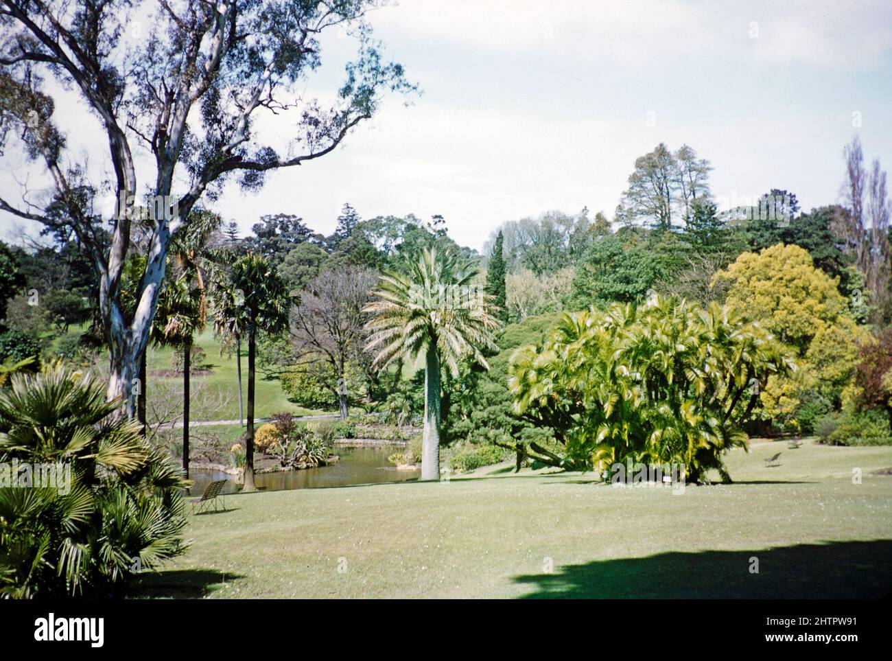 1950s melbourne australia hi-res stock photography and images - Alamy