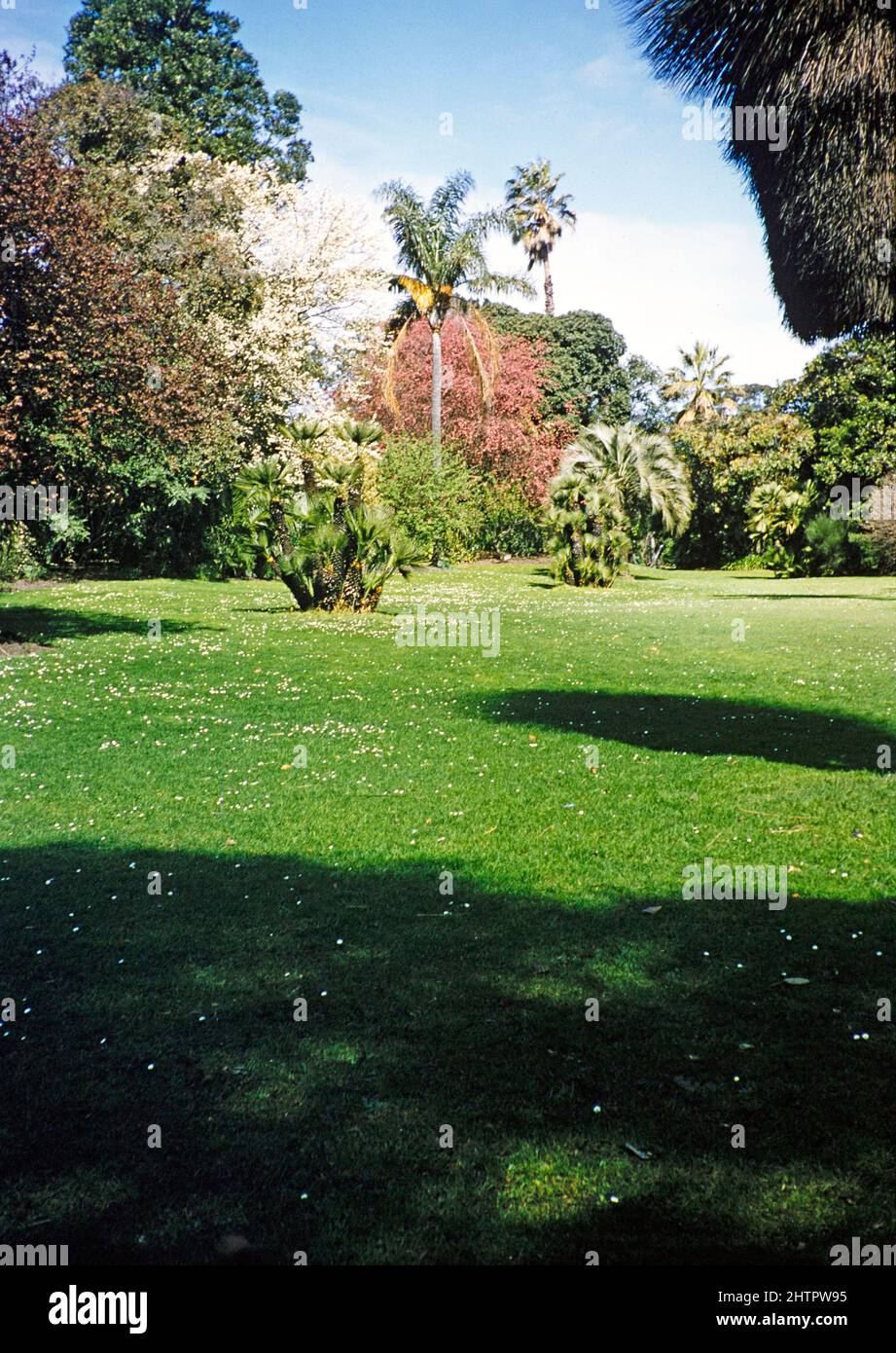 Royal Botanic Gardens Victoria, Melbourne, Victoria, Australia, 1956 ... Royal Botanic Gardens Victoria, Melbourne, Victoria, Australia, 1956 ...