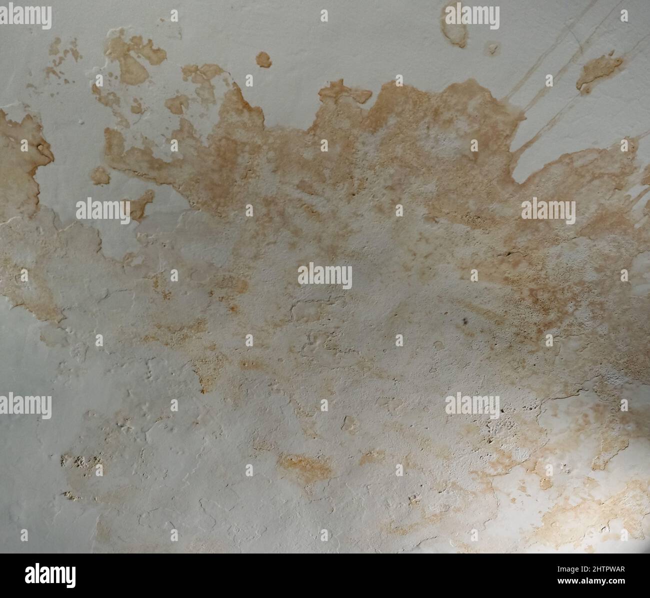 damage caused by dampness and moisture on a wall Stock Photo - Alamy