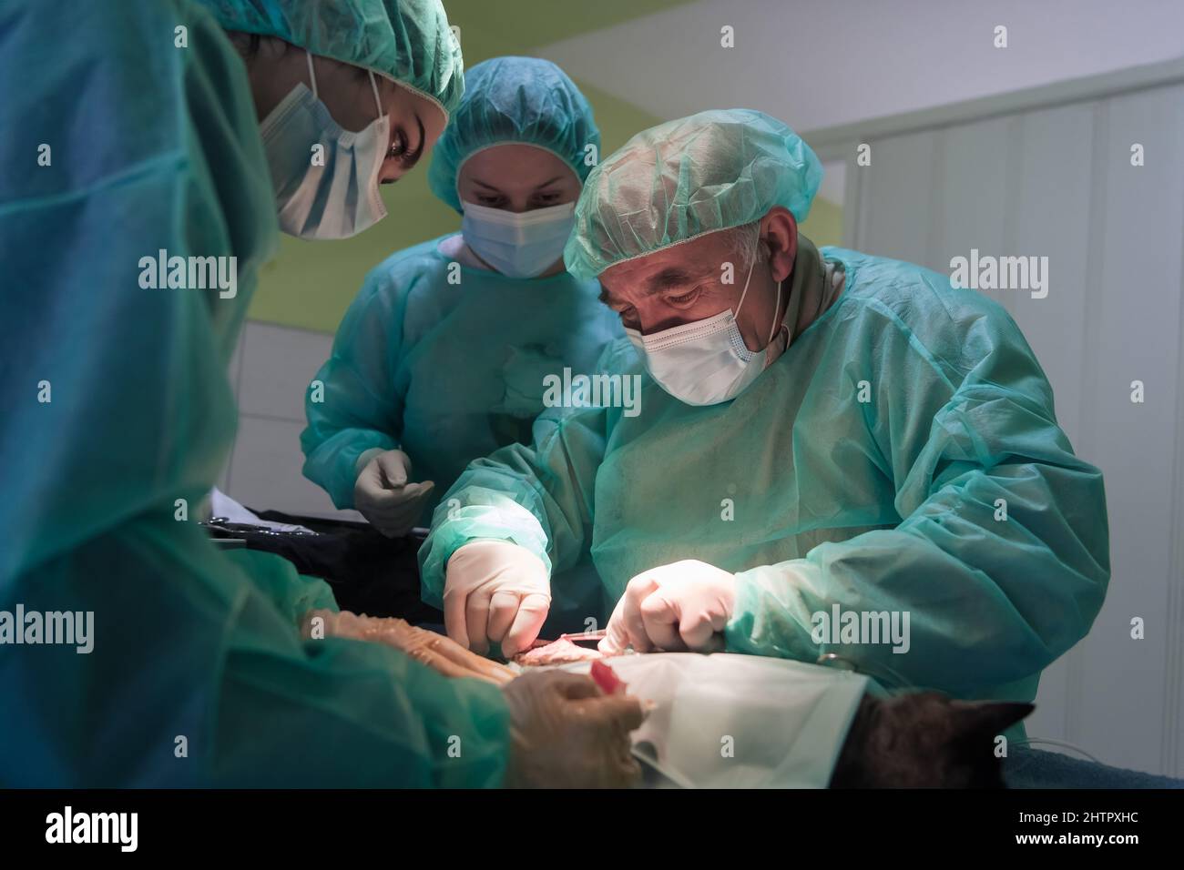 Real abdominal surgery hi-res stock photography and images - Alamy