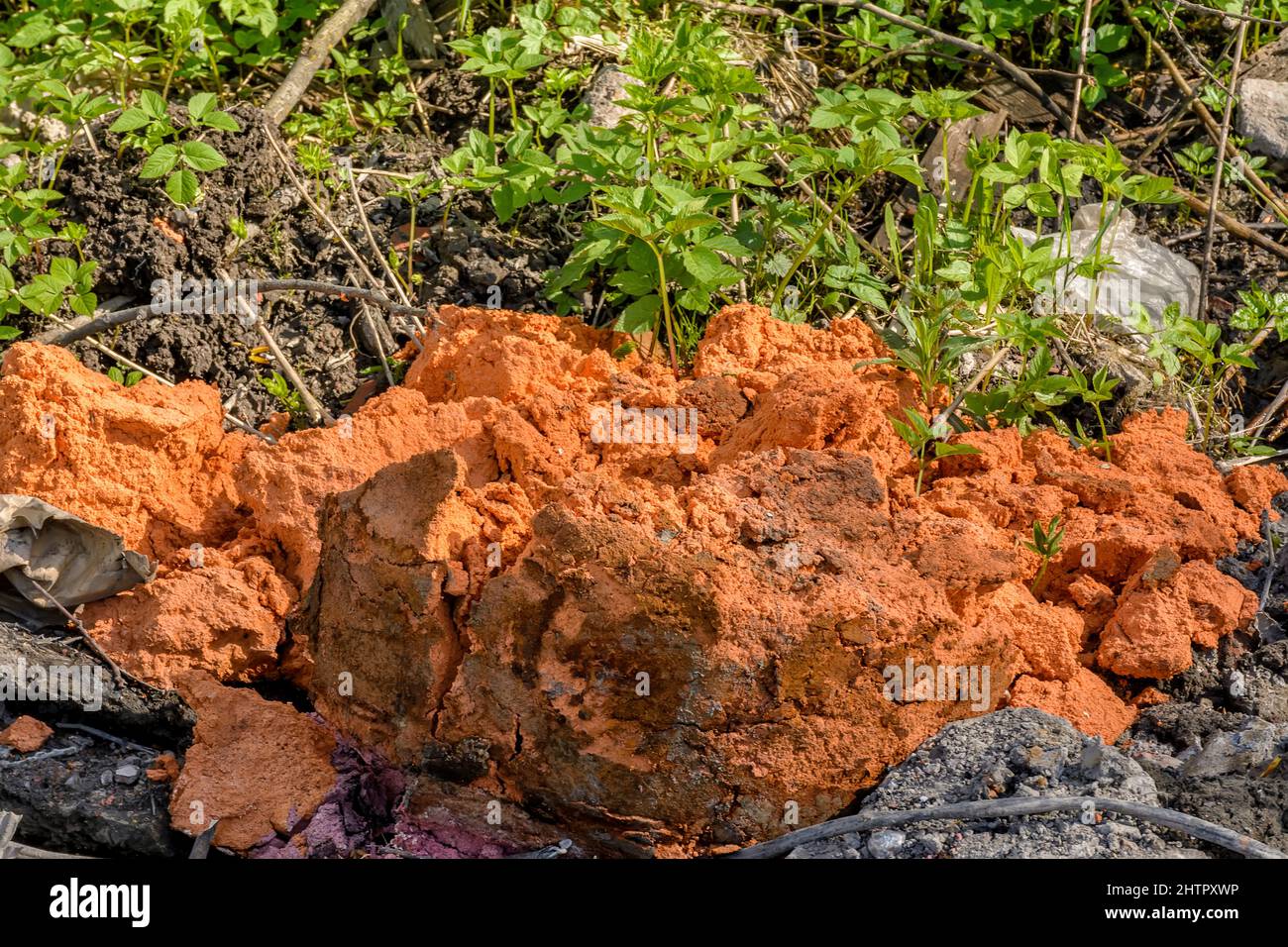 Scattering garbage hi-res stock photography and images - Alamy