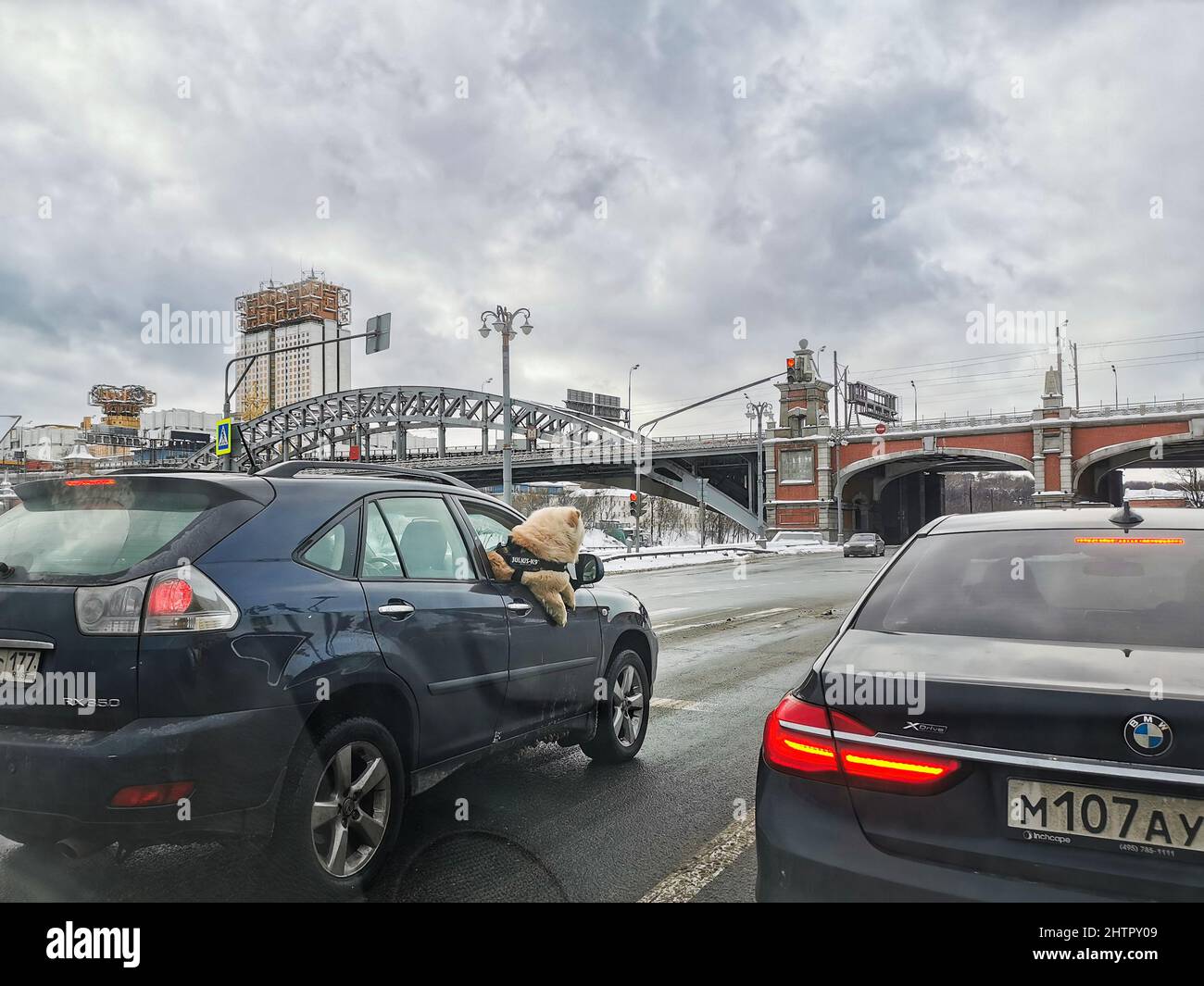 Car chow hi-res stock photography and images - Alamy