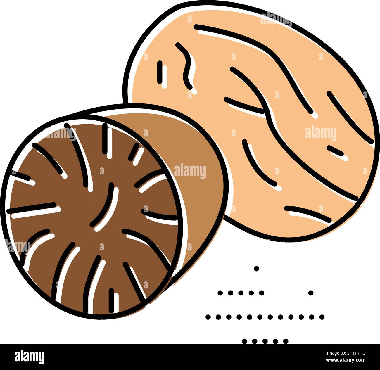nutmeg nut color icon vector illustration Stock Vector Image & Art - Alamy