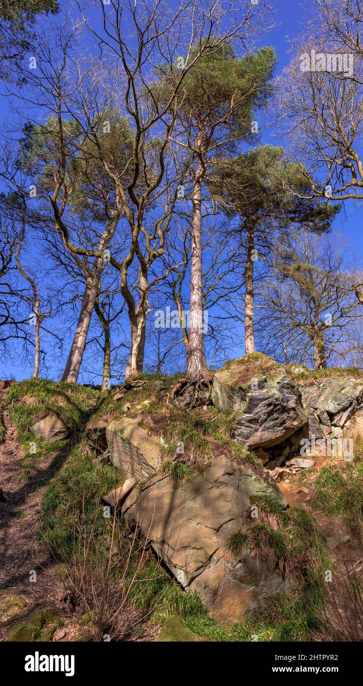 Hardcastle crags, hebden bridge hi-res stock photography and images - Alamy