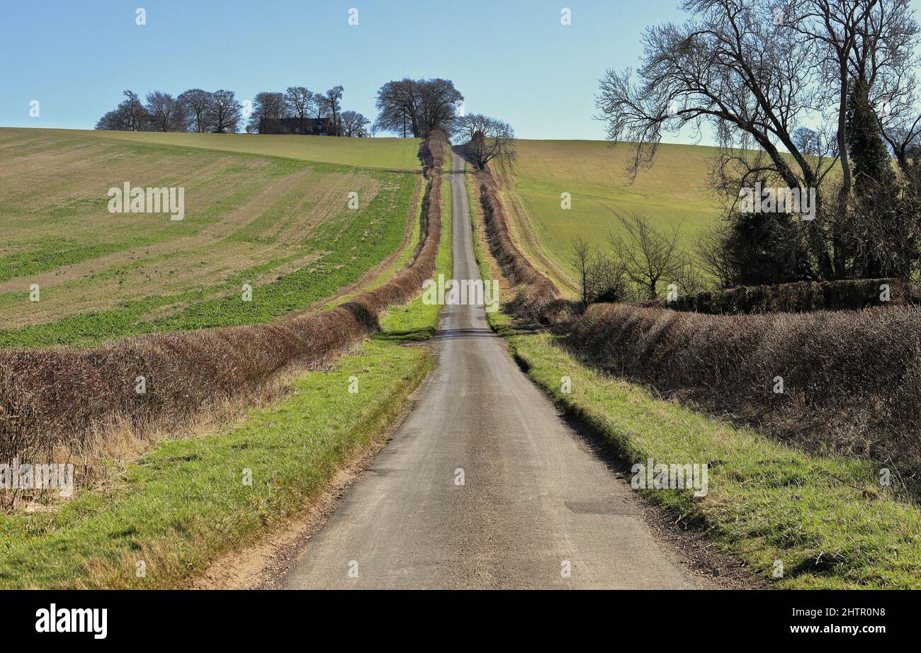 An English Rural Landscape with road between fields and hedgerows in ...