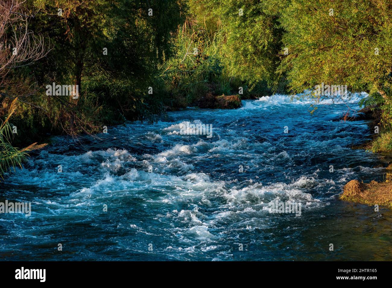 fast mountain river flows among the wooded banks Stock Photo - Alamy