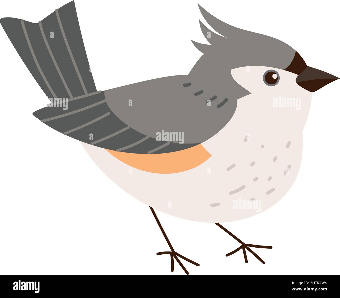 bird vector icon Stock Vector Image & Art - Alamy