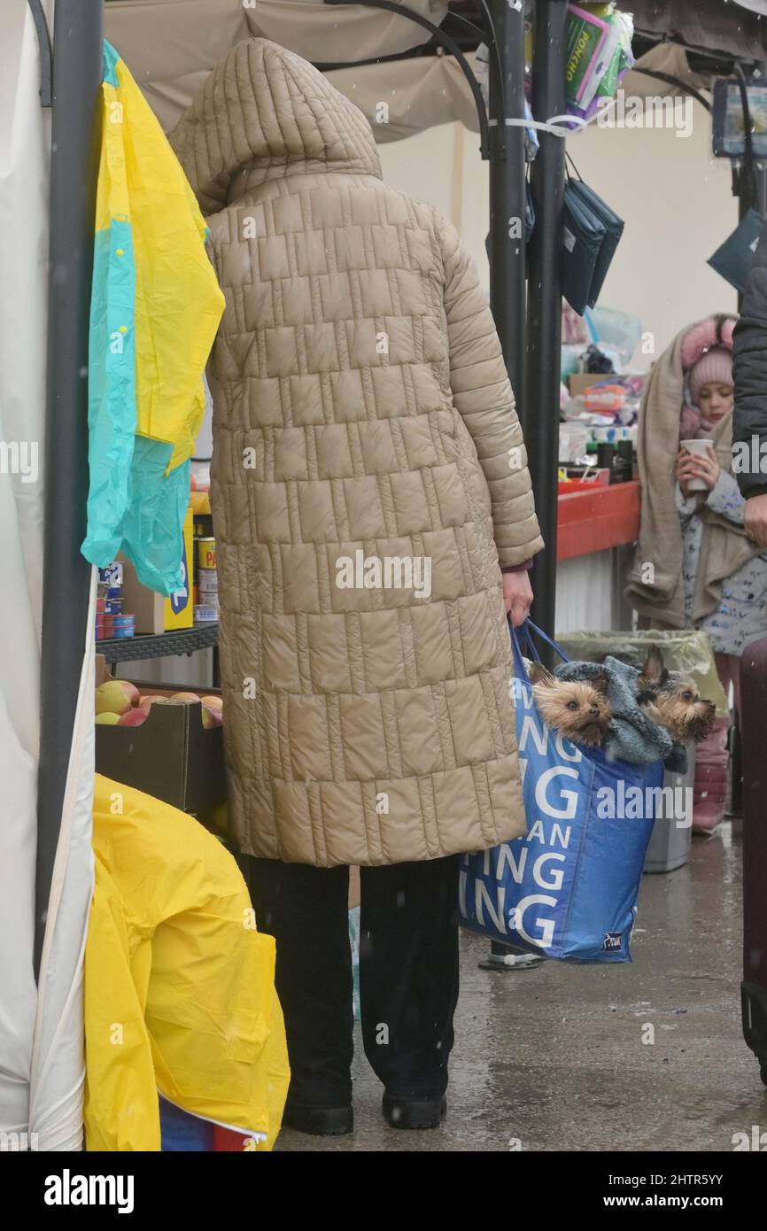 Isaccea, Romania. 02 March, 2022. Refugee Ukrainians walk from Ukraine ...