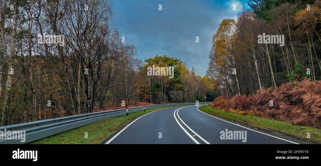 Smooth highway through a scenic autumn wood Stock Photo - Alamy