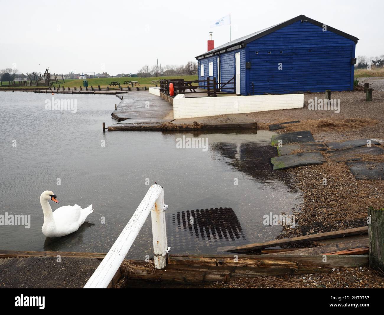 Rspca closure hi-res stock photography and images - Alamy