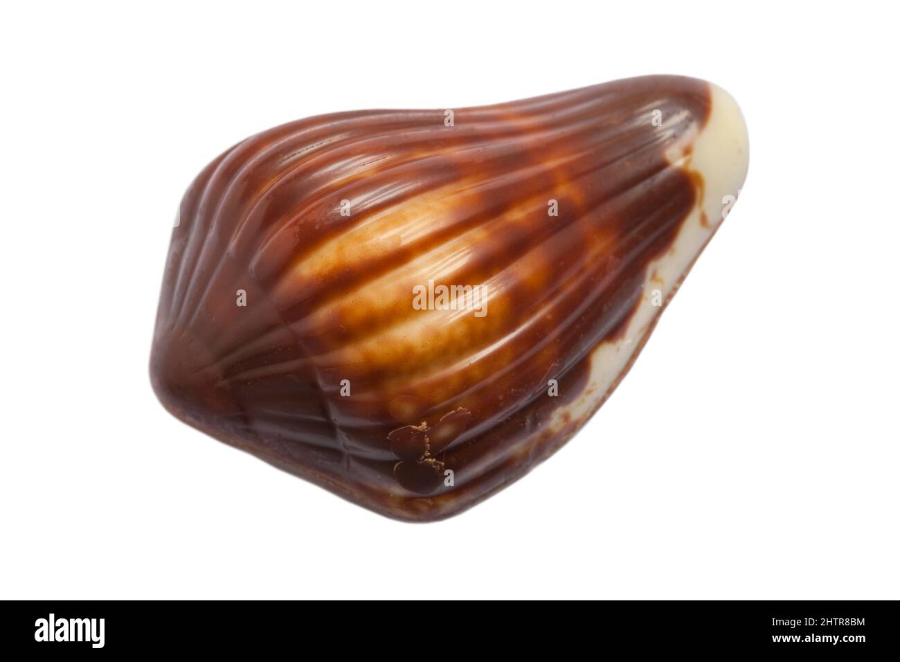 Belgian chocolate seashells hi-res stock photography and images - Alamy