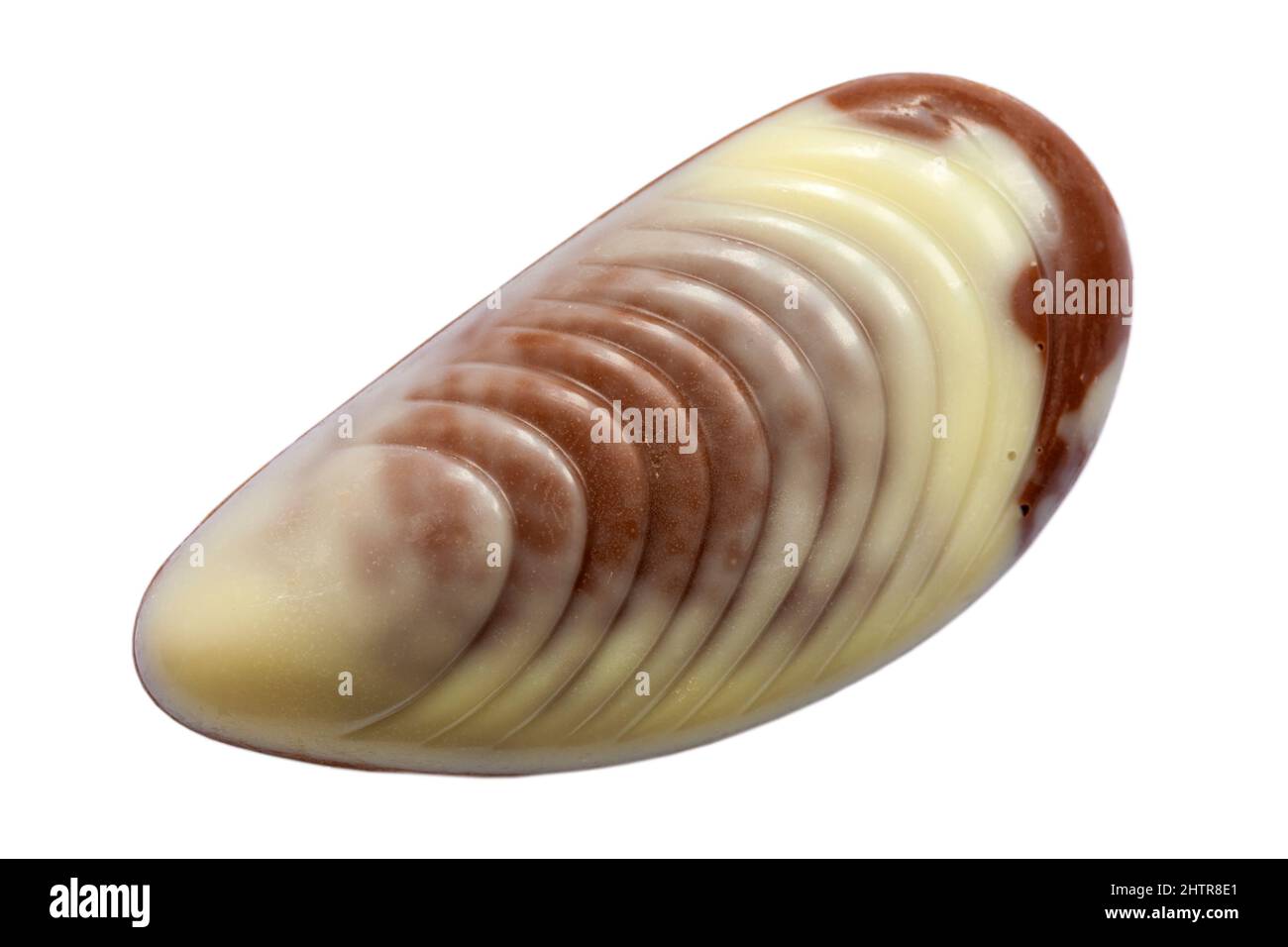 Belgian chocolate seashells hi-res stock photography and images - Alamy