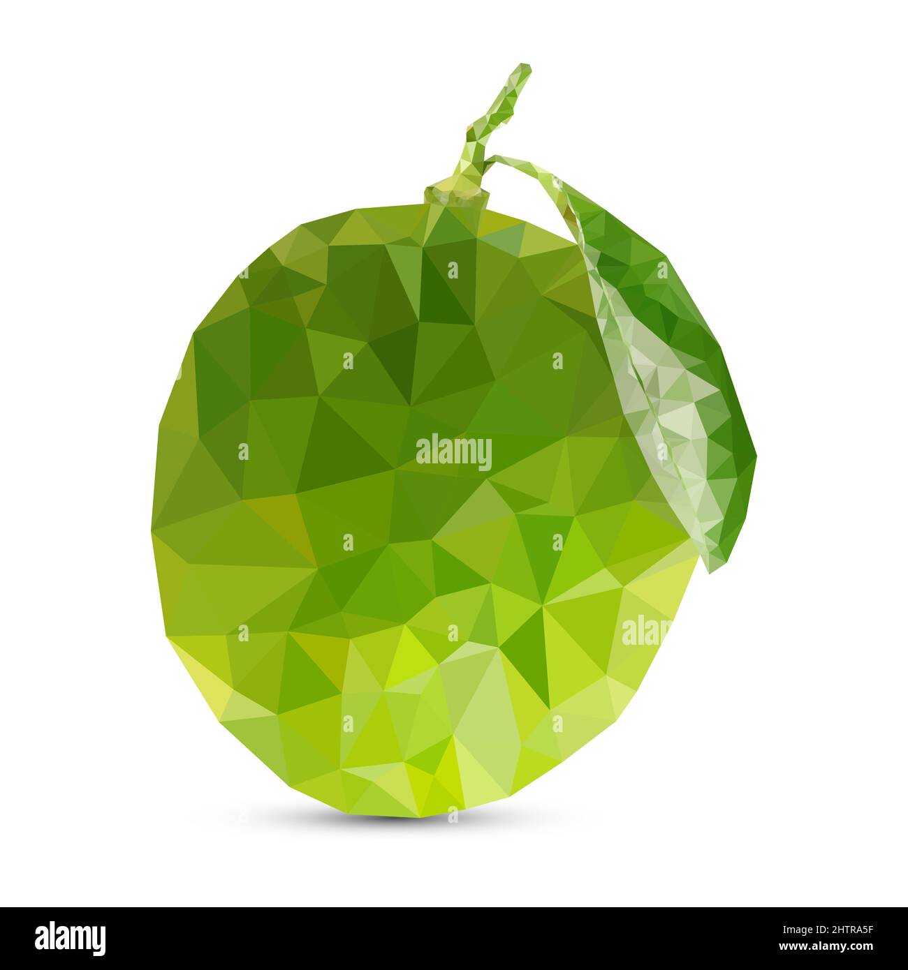 Polygon Lemon vector illustration. Green polygonal fruits isolated on ...