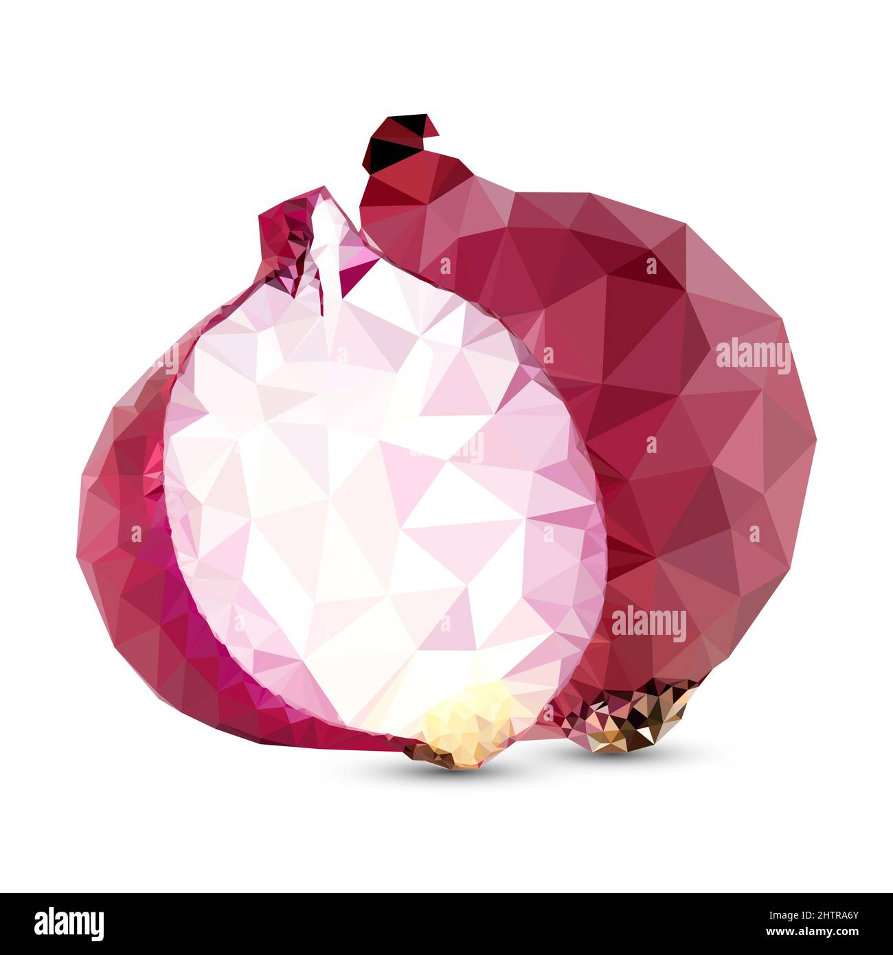 Polygon Onion vector illustration. Polygonal fruits isolated on white ...