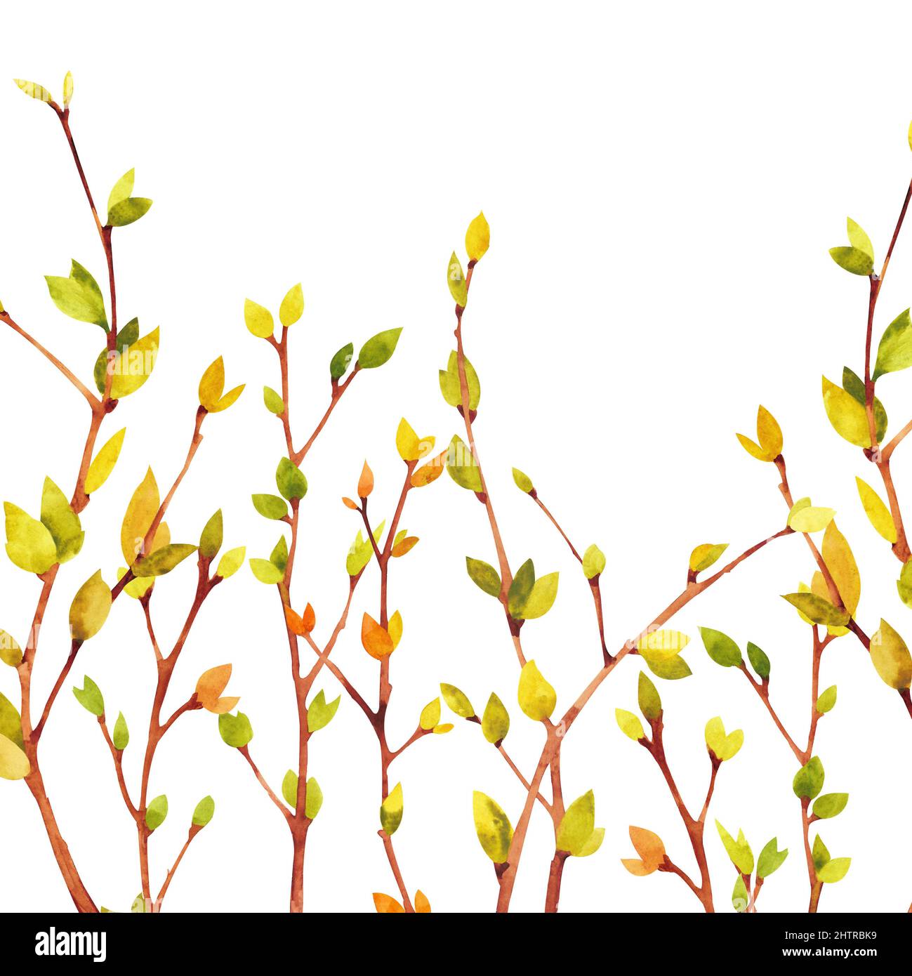 Watercolor spring branch. Hand made illustration isolated on white ...