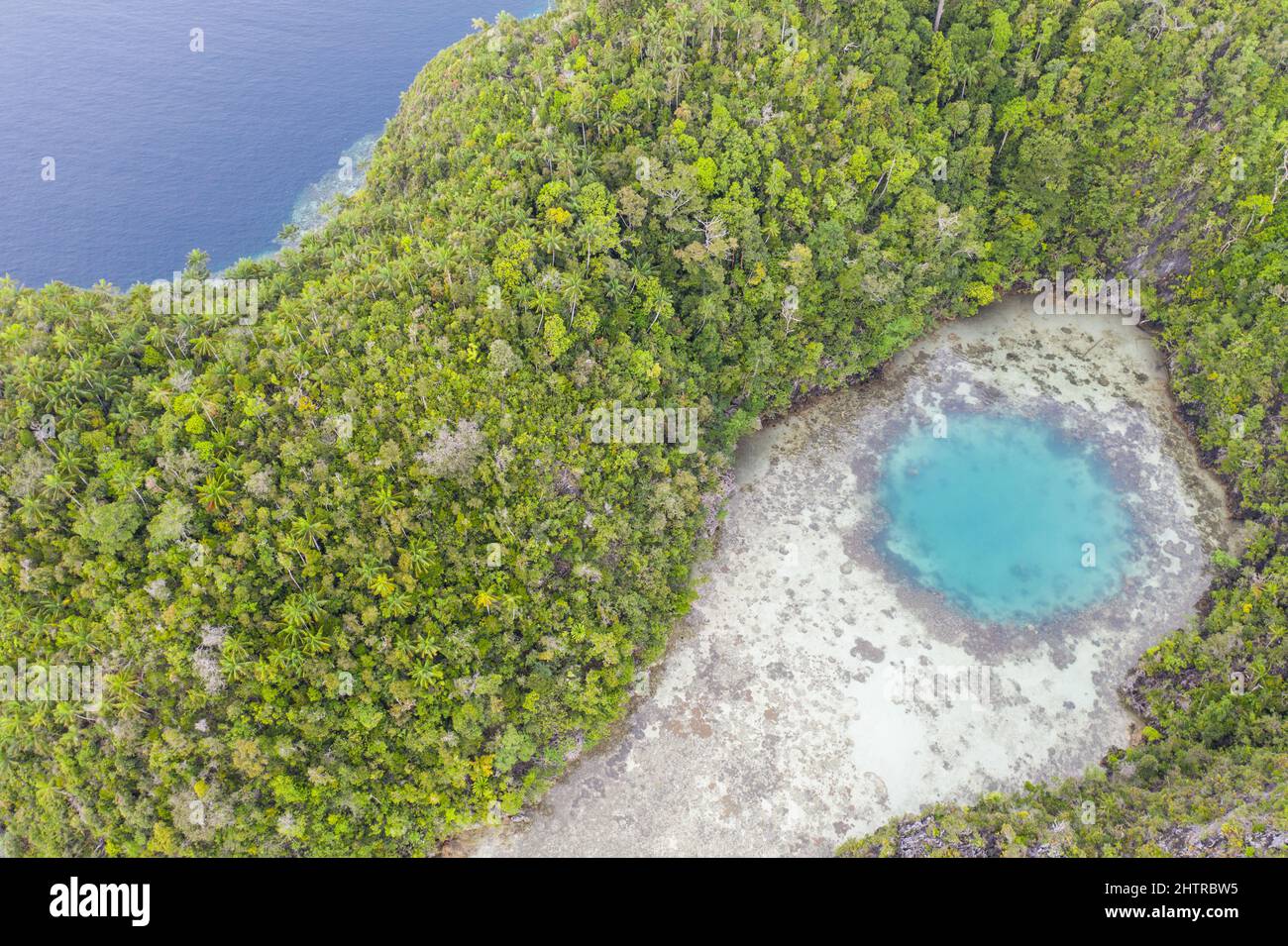 Warm seas surround rugged limestone islands in Raja Ampat, Indonesia ...