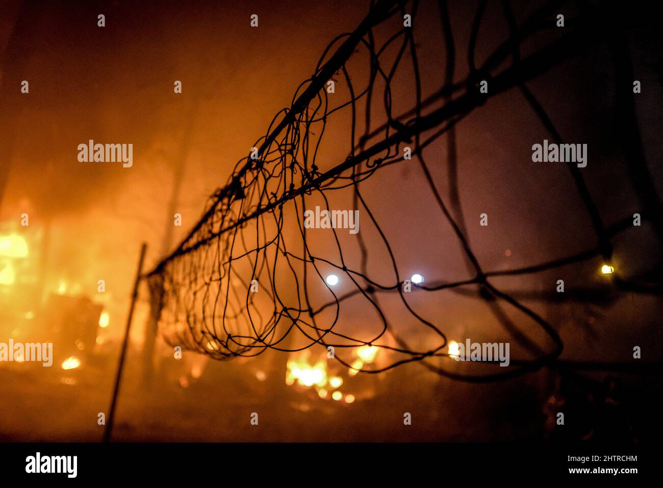 Nairobi, Kenya. 1st Mar, 2022. A local forest burns down by a ...