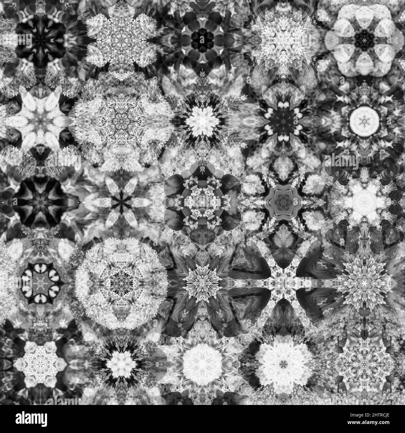 Abstract Computer generated Fractal design. A fractal is a never-ending ...