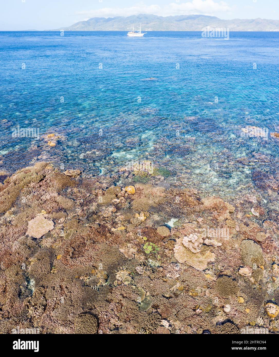 Healthy coral reefs surround a remote island in Indonesia's Banda Sea ...