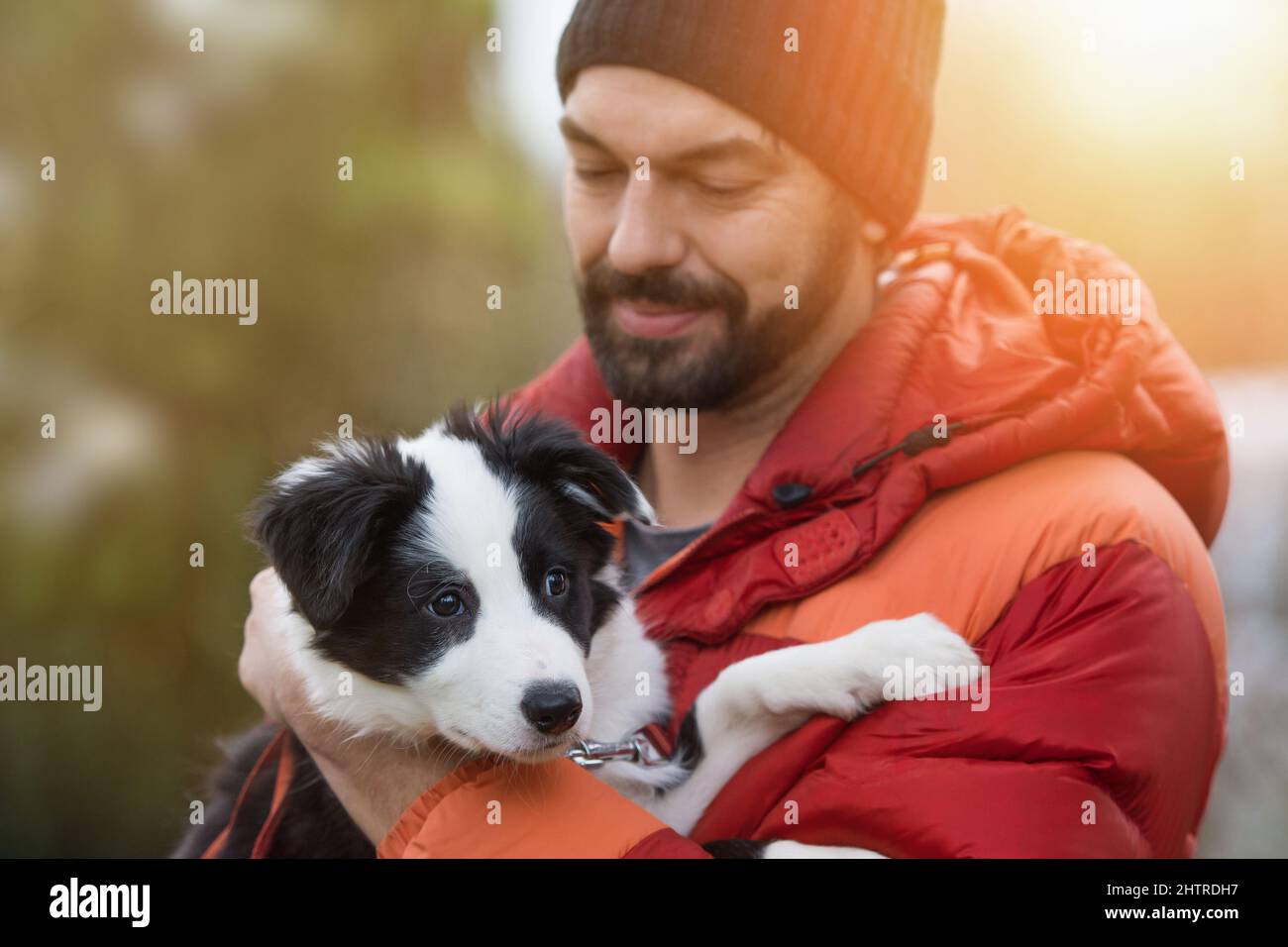 Border collie puppy on the arm of its owner Stock Photo - Alamy