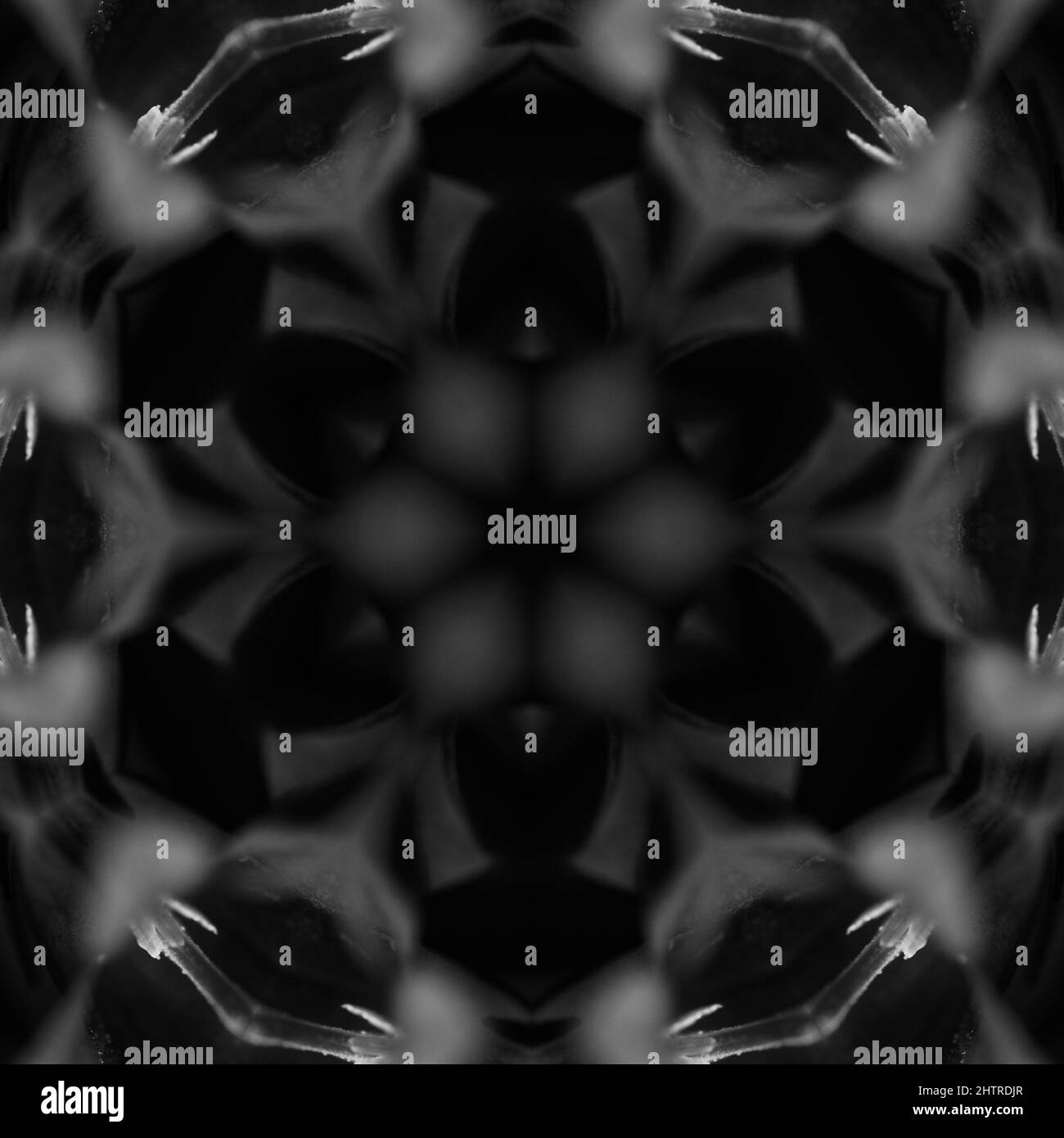 Abstract Computer generated Fractal design. A fractal is a never-ending ...