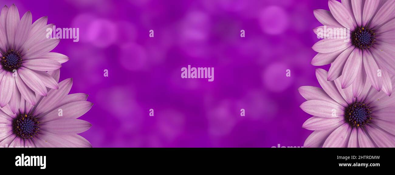 Beautiful Flower Facebook Covers