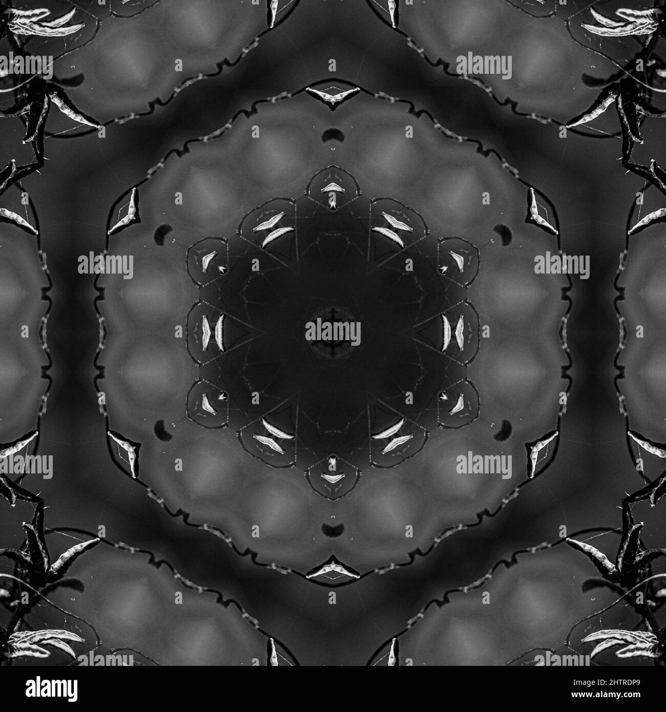 Abstract Computer generated Fractal design. A fractal is a never-ending ...