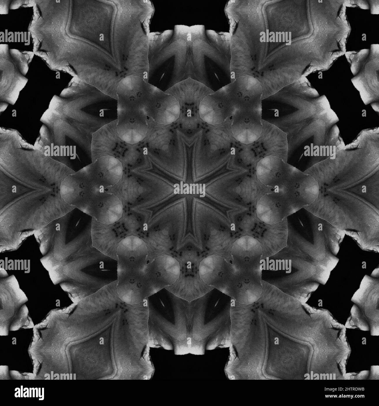 Abstract Computer generated Fractal design. A fractal is a never-ending ...