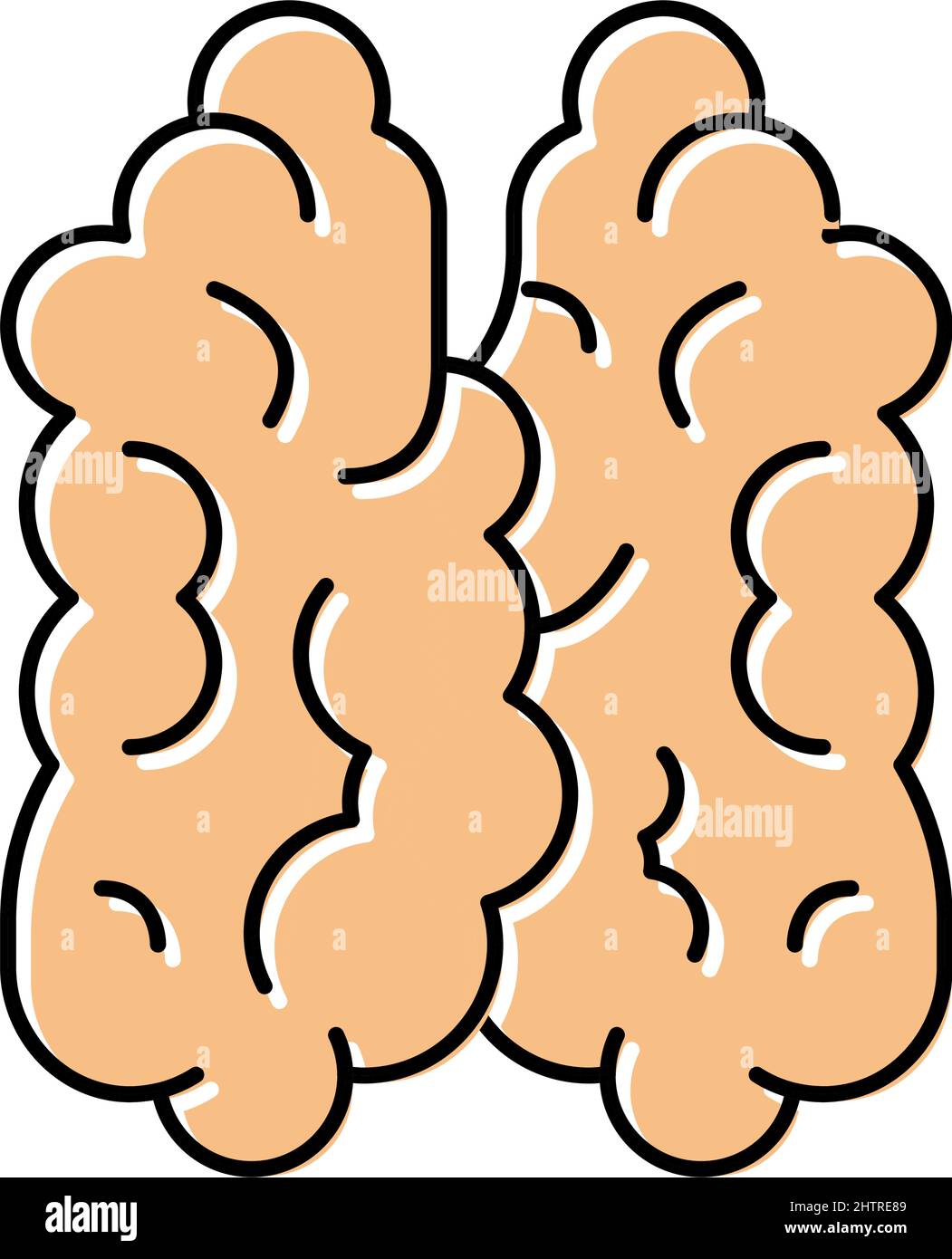 thymus of immune system color icon vector illustration Stock Vector ...