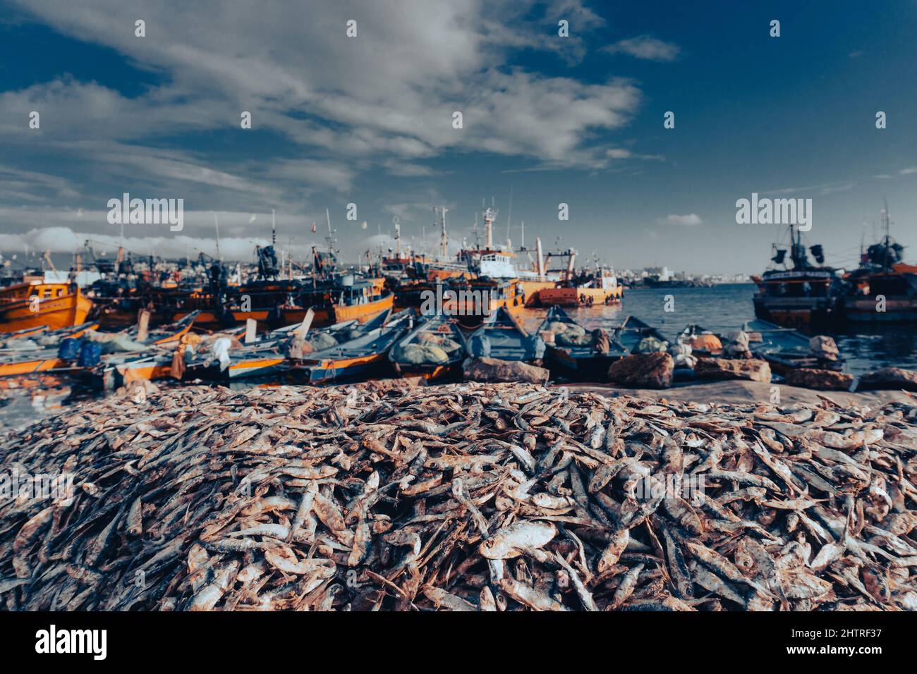 Piles fresh fish on ground hi-res stock photography and images - Alamy