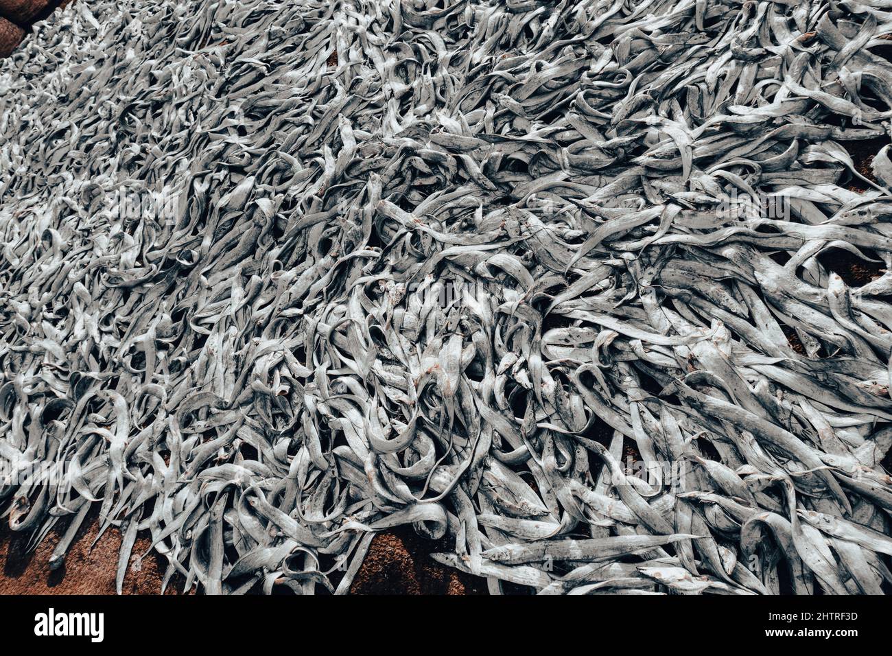 Underwater piles hi-res stock photography and images - Alamy