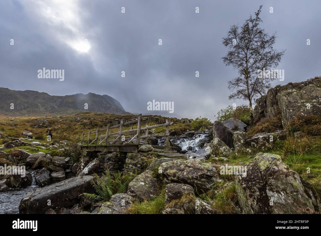 Wooden bridge leading to mountain's Snowdonia National Park, North ...