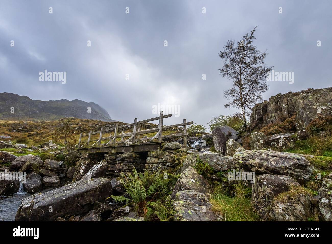 Wooden bridge leading to mountain's Snowdonia National Park, North ...