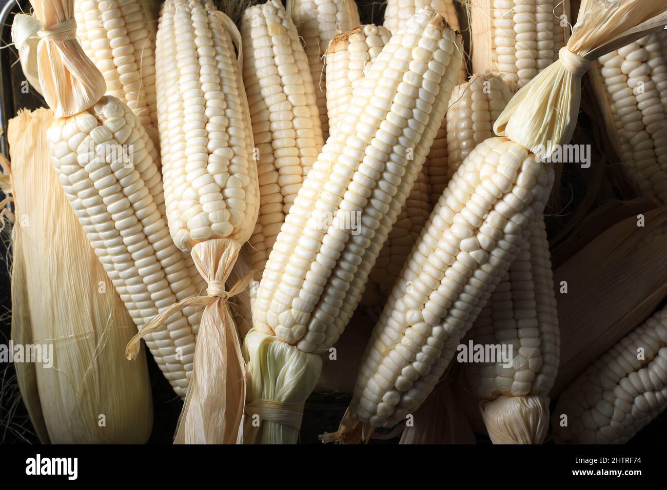 A Pile Dried White Corn for Background Stock Photo - Alamy