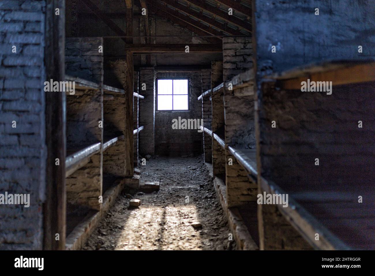 Inside view of Auschwitz concentration camp cells Stock Photo - Alamy